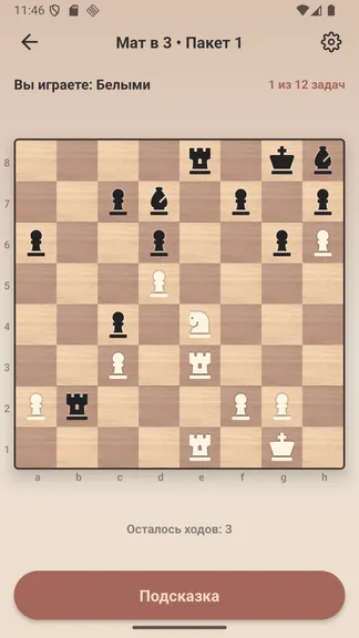 Шахматы Pro: против ИИ и на 2 — скачать для Android 0,0★ бесплатно 📱 в ...