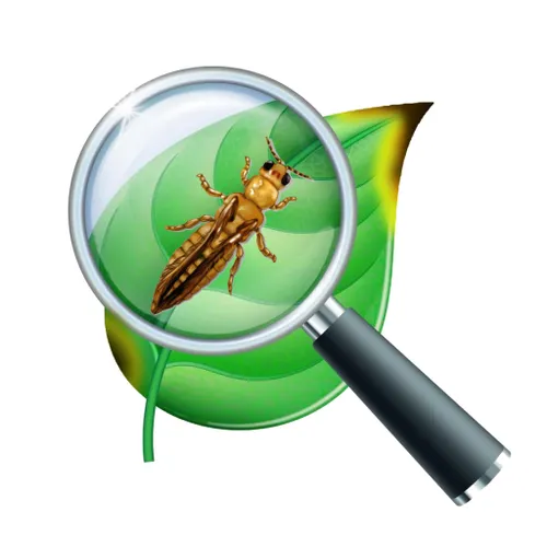 🚀История версий Болезни растений — последняя версия 2.2 уже в RuStore