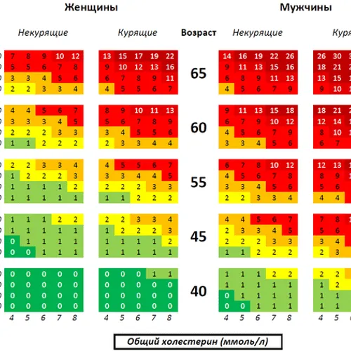 Шкала SCORE, SCORE2 — скачать для Android 4,3★ бесплатно 📱 в RuStore
