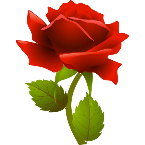 💬 1 отзыв о приложении Гадания Пасьянсы в RuStore