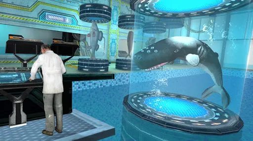 whale shark attack simulator