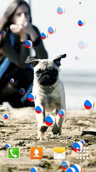 Cute Pugs Live Wallpapers — скачать для Android 0,0★ бесплатно 📱 в RuStore