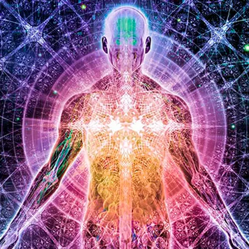 Безопасность данных и разрешения для Биоэнергетика в RuStore