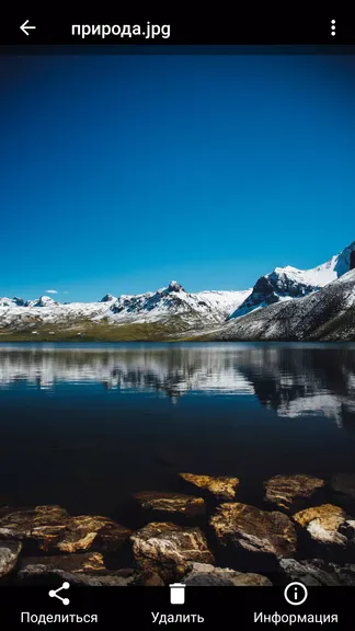 Файловый менеджер — скачать для Android 4,9★ бесплатно 📱 в RuStore